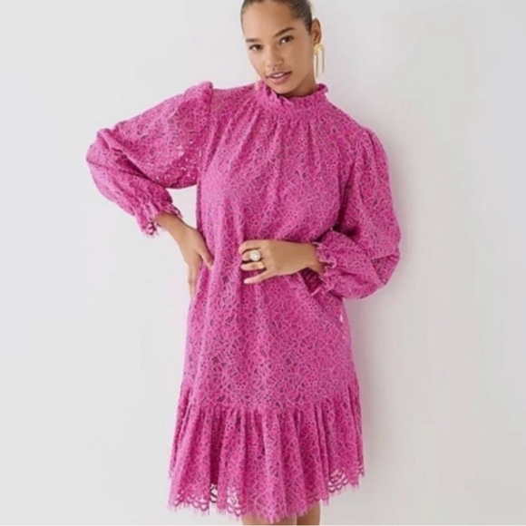 J. Crew | Dresses | Nwt J Crew Ruffle Neck Long Sleeve Lace Mini Dress ...